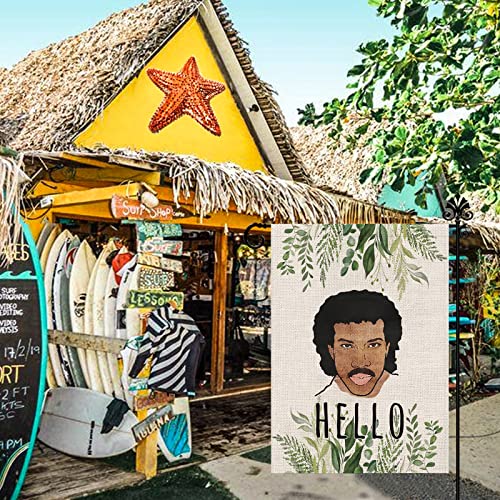 Hello Funny Garden Flag Vertical Double Sized Personalized Flag Seasonal Home Yard Outdoor Decoration 12.5 x 18 Inch