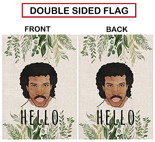 Hello Funny Garden Flag Vertical Double Sized Personalized Flag Seasonal Home Yard Outdoor Decoration 12.5 x 18 Inch