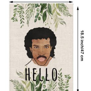 Hello Funny Garden Flag Vertical Double Sized Personalized Flag Seasonal Home Yard Outdoor Decoration 12.5 x 18 Inch