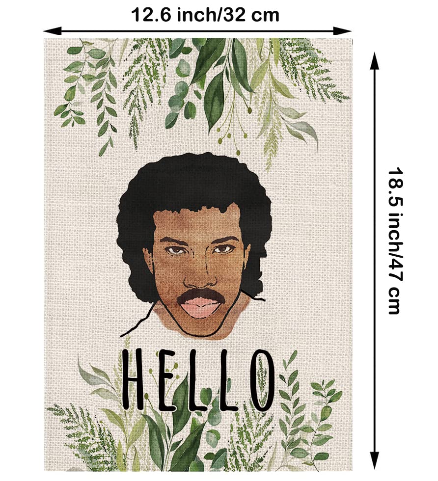 Hello Funny Garden Flag Vertical Double Sized Personalized Flag Seasonal Home Yard Outdoor Decoration 12.5 x 18 Inch