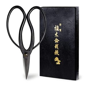 wazakura bonsai scissors made in japan 7inch(180mm), japanese bonsai garden tools, hasami pruning shears – traditional black