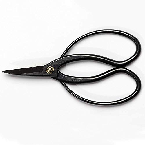 Wazakura Bonsai Scissors MADE IN JAPAN 7inch(180mm), Japanese Bonsai Garden Tools, Hasami Pruning Shears - Traditional Black