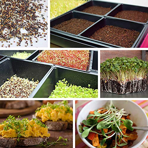 10" x 10" Garden Growing Trays with Drain Holes - 10-pack Recyclable Plastic Plant Trays for Wheatgrass Sprouting Tray, Microgreens Growing Trays, Hydroponic Trays, Nursery Flats, Greenhouse Supplies