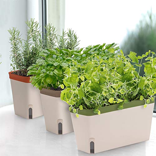 Amazing Creation Window Herb Planter Box Rectangular Self Watering Indoor Garden for Kitchens Grow Plants, Flowers or Succulents, Large Water Reservoir | Window Sill Planters Indoor | Herb Pots 3 Pack