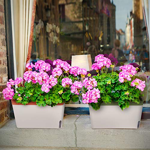 Amazing Creation Window Herb Planter Box Rectangular Self Watering Indoor Garden for Kitchens Grow Plants, Flowers or Succulents, Large Water Reservoir | Window Sill Planters Indoor | Herb Pots 3 Pack