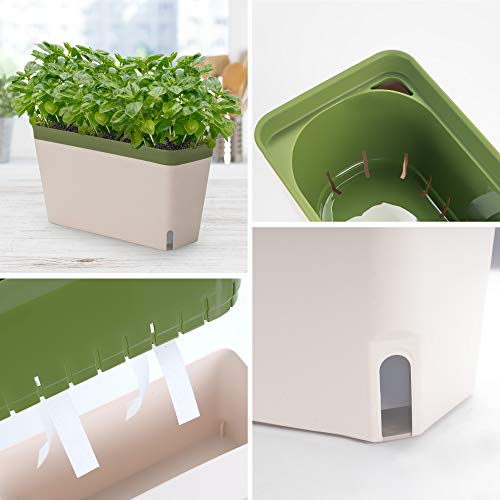 Amazing Creation Window Herb Planter Box Rectangular Self Watering Indoor Garden for Kitchens Grow Plants, Flowers or Succulents, Large Water Reservoir | Window Sill Planters Indoor | Herb Pots 3 Pack