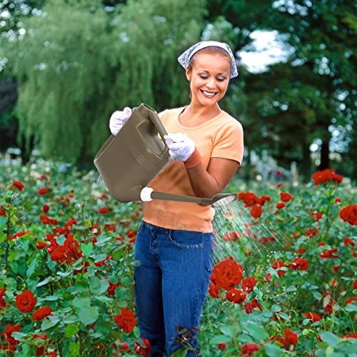 1.5 Gallon Watering Can for Outdoor & Indoor Plants, Large Garden Watering Pot with Lightweight and 5.5L Capacity, Plastic Watering Can with Long Spout and Metal Removable Sprinkler Head, Grey