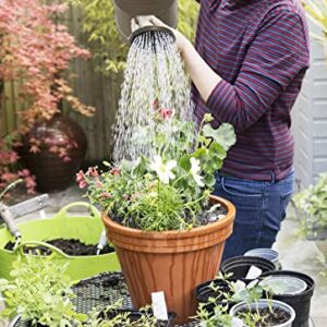 1.5 Gallon Watering Can for Outdoor & Indoor Plants, Large Garden Watering Pot with Lightweight and 5.5L Capacity, Plastic Watering Can with Long Spout and Metal Removable Sprinkler Head, Grey