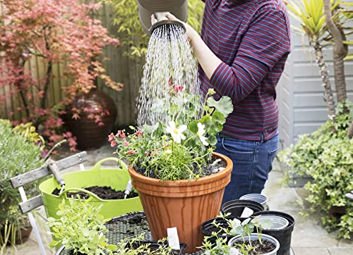 1.5 Gallon Watering Can for Outdoor & Indoor Plants, Large Garden Watering Pot with Lightweight and 5.5L Capacity, Plastic Watering Can with Long Spout and Metal Removable Sprinkler Head, Grey