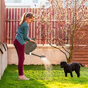 1.5 Gallon Watering Can for Outdoor & Indoor Plants, Large Garden Watering Pot with Lightweight and 5.5L Capacity, Plastic Watering Can with Long Spout and Metal Removable Sprinkler Head, Grey