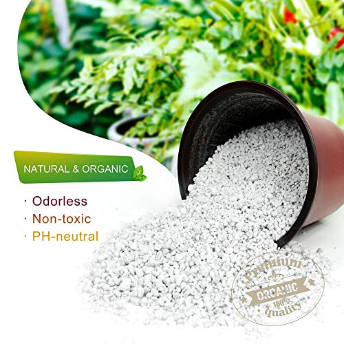 Organic Perlite for All Plants, All Natural Horticultural Soil Additive Conditioner Mix, Improve Drainage and Ventilation, Help Root Growth (2 Quarts)