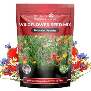 85,000 Wildflower Seeds, 35 Varietiey Wild Flowers Bulk Flower Seeds, Mix of Annual and Perennial Bulk Packet Seeds for Planting, Perennial Wild Flower Seeds, Semillas de Flores Hermosas