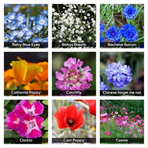 85,000 Wildflower Seeds, 35 Varietiey Wild Flowers Bulk Flower Seeds, Mix of Annual and Perennial Bulk Packet Seeds for Planting, Perennial Wild Flower Seeds, Semillas de Flores Hermosas