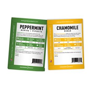 Herbal Tea Seeds for Planting Indoors and Outdoors 5 Variety Packets Echinacea, Peppermint, Lavender, Chamomile and Lemon Balm - Great for Kitchen Herb Garden Heirloom Herb Seeds - Gardeners Basics