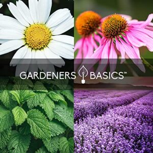 Herbal Tea Seeds for Planting Indoors and Outdoors 5 Variety Packets Echinacea, Peppermint, Lavender, Chamomile and Lemon Balm - Great for Kitchen Herb Garden Heirloom Herb Seeds - Gardeners Basics