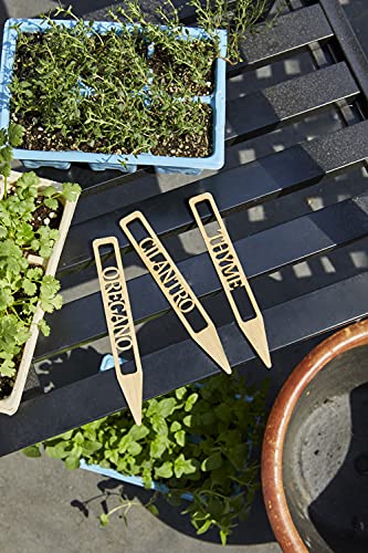 Prospero Living Garden Stakes - Premium 7 Inch Wooden Herb and Vegetable Garden Plant Labels – for Indoor and Outdoor Planters, Pots and Boxes – 25 Commonly Grown Herbs, Veggies, and Fruits.