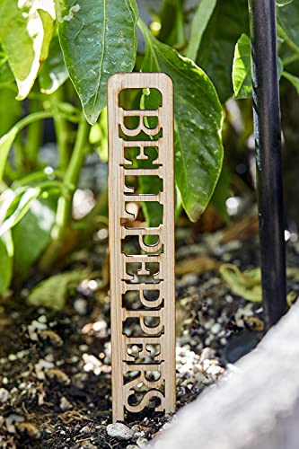 Prospero Living Garden Stakes - Premium 7 Inch Wooden Herb and Vegetable Garden Plant Labels – for Indoor and Outdoor Planters, Pots and Boxes – 25 Commonly Grown Herbs, Veggies, and Fruits.