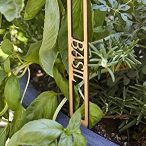 Prospero Living Garden Stakes - Premium 7 Inch Wooden Herb and Vegetable Garden Plant Labels – for Indoor and Outdoor Planters, Pots and Boxes – 25 Commonly Grown Herbs, Veggies, and Fruits.