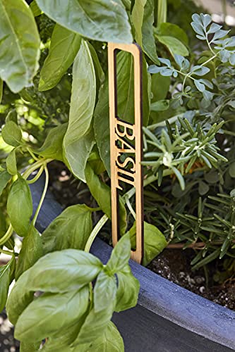 Prospero Living Garden Stakes - Premium 7 Inch Wooden Herb and Vegetable Garden Plant Labels – for Indoor and Outdoor Planters, Pots and Boxes – 25 Commonly Grown Herbs, Veggies, and Fruits.