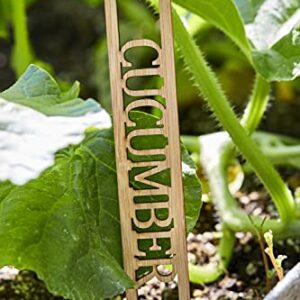 Prospero Living Garden Stakes - Premium 7 Inch Wooden Herb and Vegetable Garden Plant Labels – for Indoor and Outdoor Planters, Pots and Boxes – 25 Commonly Grown Herbs, Veggies, and Fruits.