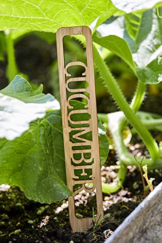 Prospero Living Garden Stakes - Premium 7 Inch Wooden Herb and Vegetable Garden Plant Labels – for Indoor and Outdoor Planters, Pots and Boxes – 25 Commonly Grown Herbs, Veggies, and Fruits.