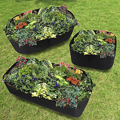 Fabric Raised Planting Bed, Garden Grow Bags Herb Flower Vegetable Plants Bed Rectangle Planter 2‘x4' (3ft x 6ft) (2ft x 4ft)