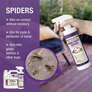 EcoVenger by EcoRaider All Purpose Insect Control 16 OZ, Fleas, Fruit Flies, Gnats, Moths, Roaches, Spiders, Fast Kill, Lasting Prevention, Kill Eggs, Plant Extract Based & Non-Toxic, Child & Pet Safe