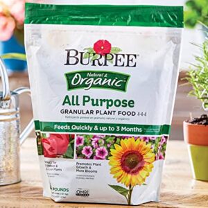 Burpee Natural Purpose Granular 4-Lb Organic Food for Growing Strong Plants | Good for Vegetable Garden, Flower Garden & Seed Starting, 4 lb, 4lb. Bag