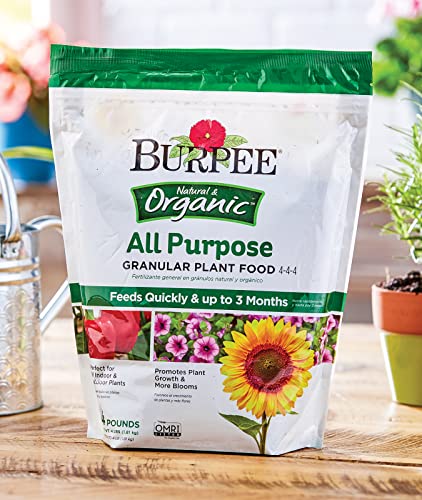 Burpee Natural Purpose Granular 4-Lb Organic Food for Growing Strong Plants | Good for Vegetable Garden, Flower Garden & Seed Starting, 4 lb, 4lb. Bag