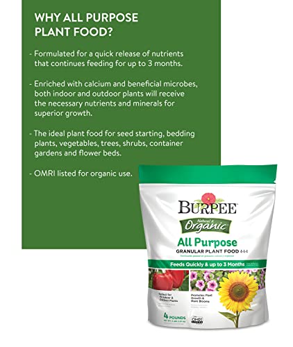 Burpee Natural Purpose Granular 4-Lb Organic Food for Growing Strong Plants | Good for Vegetable Garden, Flower Garden & Seed Starting, 4 lb, 4lb. Bag