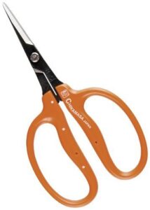 professional horticultural flower thinning scissors and vegetables 155mm b-500h