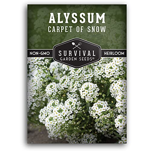 Survival Garden Seeds - Carpet of Snow Alyssum Seed for Planting - Packet with Instructions to Plant and Grow Lobularia maritima in Your Home Flower or Vegetable Garden - Non-GMO Heirloom Variety