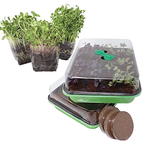 Window Garden Microgreens Grow Kit - Assorted Microgreen Seeds, Indoor Starter Growing Kit -Window Garden 20 Cavity Seed Propagation Kits (2) – Complete with Fiber Soil