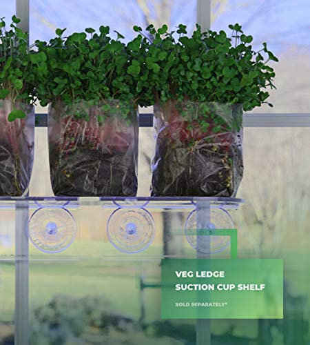 Window Garden Microgreens Grow Kit - Assorted Microgreen Seeds, Indoor Starter Growing Kit -Window Garden 20 Cavity Seed Propagation Kits (2) – Complete with Fiber Soil