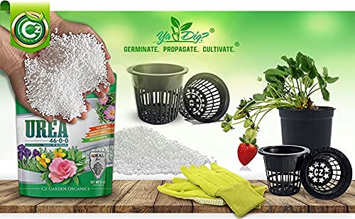 Urea Fertilizer 46-0-0 Made in USA Plant Food for Indoor/Outdoor Flowers & Organic Gardens - Promotes Lush Growth - Lettuce, Green Lawns, Fruit, Vegetables, Citrus Trees, Tie Dye Granules Prills 5LB