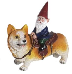 funny guy mugs garden gnome statue – gnome riding a corgi – indoor/outdoor garden gnome sculpture for patio, yard or lawn