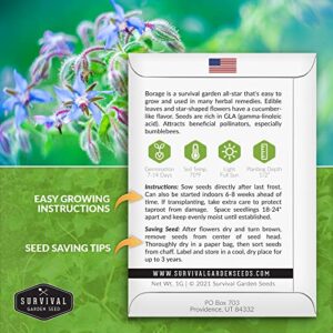 Survival Garden Seeds - Borage Seed for Planting - Packet with Instructions to Plant and Grow Beautiful Medicinal Herb in Your Home Vegetable Garden - Non-GMO Heirloom Variety - Attracts Pollinators