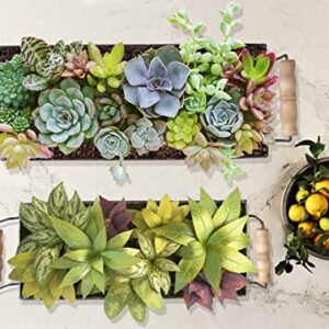 ShabbyDecor Galvanized Metal Trough Succulent Planter Farmhouse Metal Tray Rustic Tabletop Centerpiece Décor Set of 2