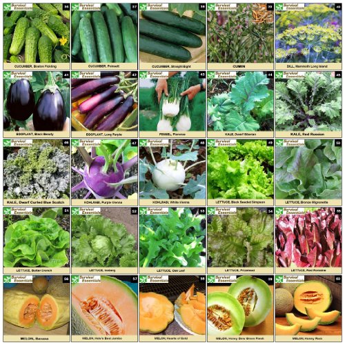 Heirloom Seeds for Planting Vegetables and Fruits - Survival Essentials 135 Variety Seed Vault - Medicinal Herb Seeds - Grow Healthy Non-GMO Food