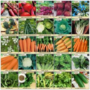 Heirloom Seeds for Planting Vegetables and Fruits - Survival Essentials 135 Variety Seed Vault - Medicinal Herb Seeds - Grow Healthy Non-GMO Food