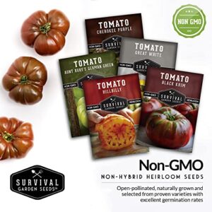 Survival Garden Seeds Colorful Tomato Collection - Black Krim, Great White, Aunt Ruby’s German Green, Hillbilly, & Cherokee Purple Tomato Packets - 5 Delicious Non-GMO Heirloom Varieties