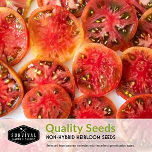 Survival Garden Seeds Colorful Tomato Collection - Black Krim, Great White, Aunt Ruby’s German Green, Hillbilly, & Cherokee Purple Tomato Packets - 5 Delicious Non-GMO Heirloom Varieties