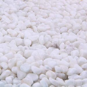 rocks for plants, succulents, fairy garden big 3lb bulk bag – 5mm tumbled crushed natural white stone pebbles for decorating bonsai trees, zen garden, succulent plants