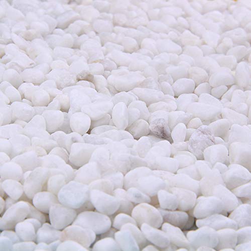 Rocks for Plants, Succulents, Fairy Garden Big 3lb Bulk Bag - 5mm Tumbled Crushed Natural White Stone Pebbles for Decorating Bonsai Trees, Zen Garden, Succulent Plants