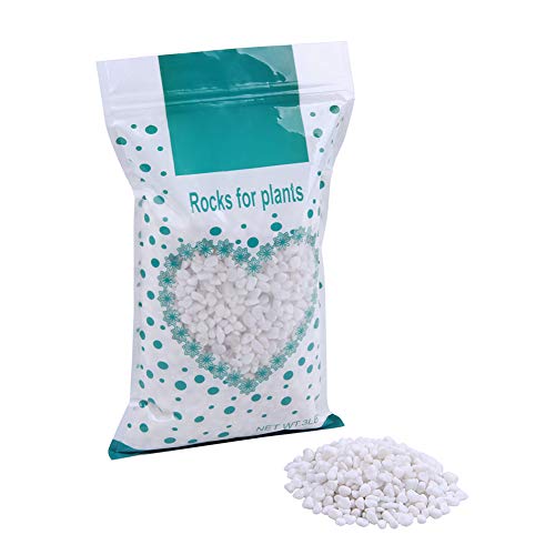 Rocks for Plants, Succulents, Fairy Garden Big 3lb Bulk Bag - 5mm Tumbled Crushed Natural White Stone Pebbles for Decorating Bonsai Trees, Zen Garden, Succulent Plants