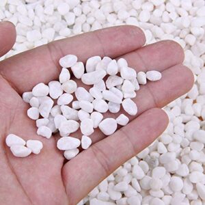 Rocks for Plants, Succulents, Fairy Garden Big 3lb Bulk Bag - 5mm Tumbled Crushed Natural White Stone Pebbles for Decorating Bonsai Trees, Zen Garden, Succulent Plants