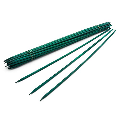 24" Green Wood Plant Stake, Floral Picks, Wooden Sign Posting Garden Sticks (25 Pcs) by Royal Imports