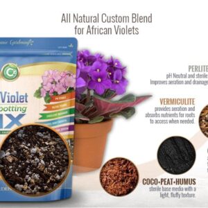 Organic African Violet Potting Mix - Made in USA with Premium Grade Ingredients - Coco Peat Humus • Perlite • Vermiculite • Horticultural Biochar Charcoal to Improve Plant Growth