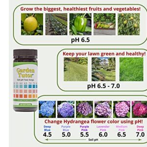 Garden Tutor Soil pH Test Kit (3.5-9 Range) | 100 Soil pH Test Strips