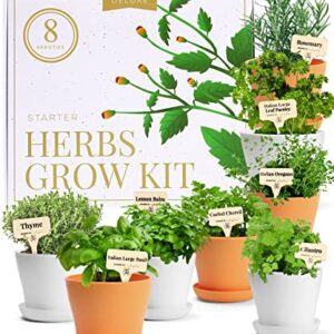 Deluxe Herb Garden Kit – Unique Gardening Gifts for Women - 8 Variety Culinary Herb Garden Kit Indoor & Outdoor – Cooking Gifts for Gardeners, Plant Gifts for Mom Who Has Everything This Christmas